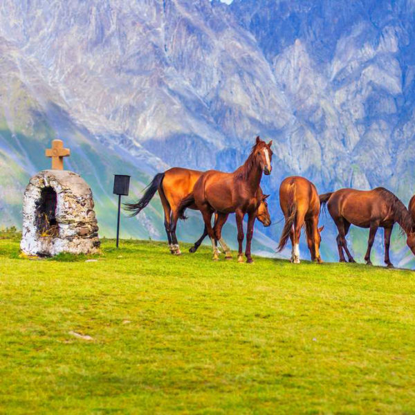 Tours to Georgia - Best Tour Packages - www.georgian.travel