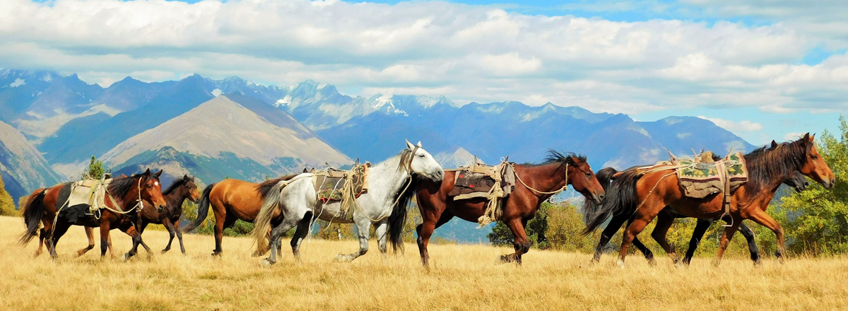 Tours to Georgia - Best Tour Packages - www.georgian.travel